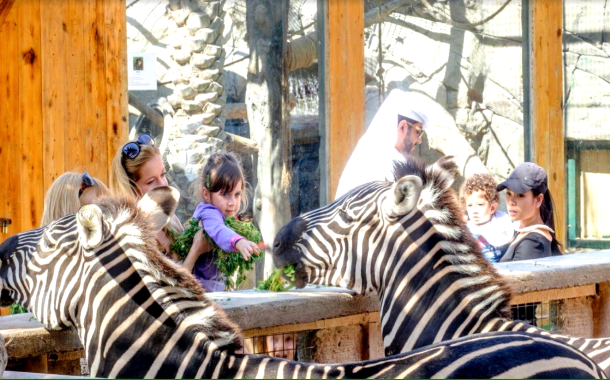 Emirates Park Zoo and Resort Staycation
