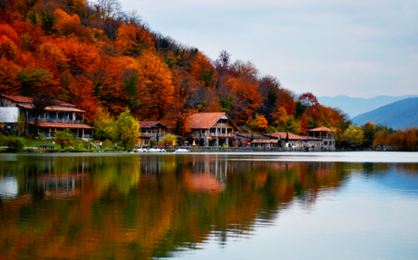 3 Nights in Tbilisi & Lake Lopota - Winter Packages