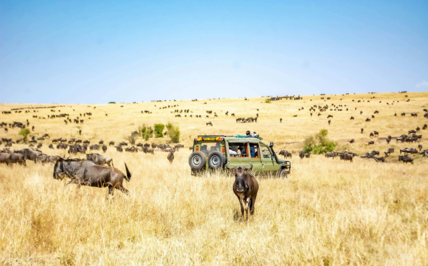 4 Nights in Kenya UAE National Day Holiday Packages