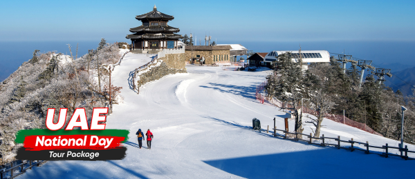 Celebrate UAE National Day with exclusive holiday packages - Musafir