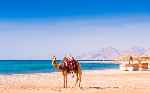 Jedha and Red Sea Tour Packages Explore Saudi Arabia