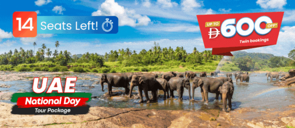 Celebrate UAE National Day with exclusive holiday packages - Musafir
