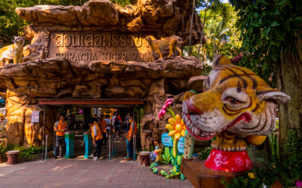 Bangkok and Pattaya Package